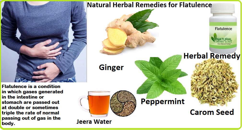 Herbal Remedies for Flatulence | Symptoms, Causes, Treatment - Natural ...