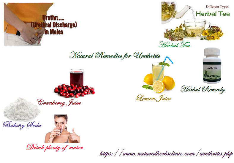 Natural Remedies For Urethritis Urethritis Natural Treatment