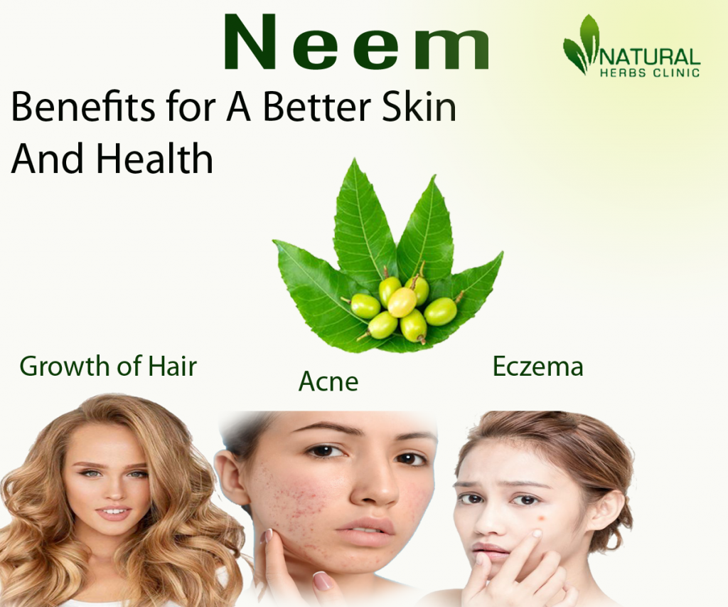 Neem Benefits for A Healthy Skin And Better Health