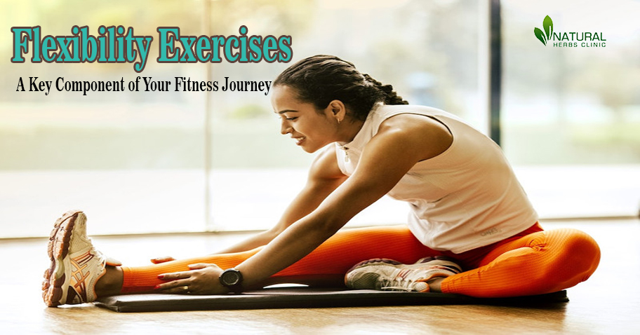Flexibility Exercises: A Key Component of Your Fitness Journey